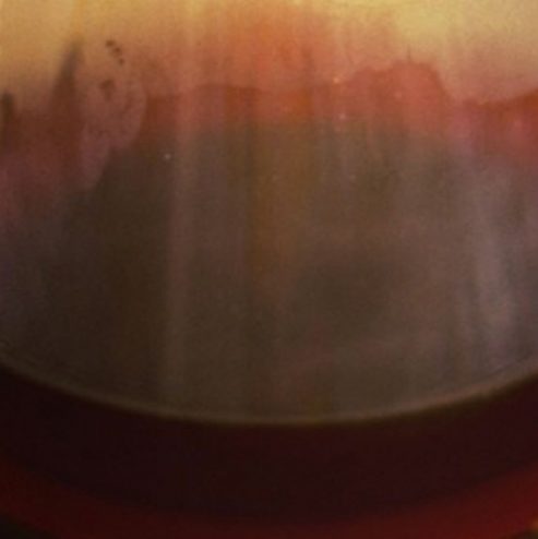 Sensual Glassware In San Francisco | Sprudge Coffee