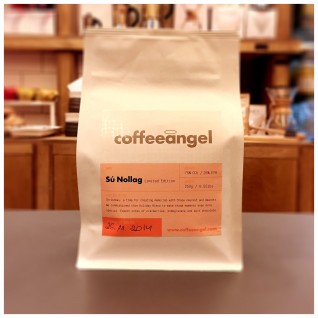 Holiday Coffee Blends -- The Authoritative Sprudge Gift Guide