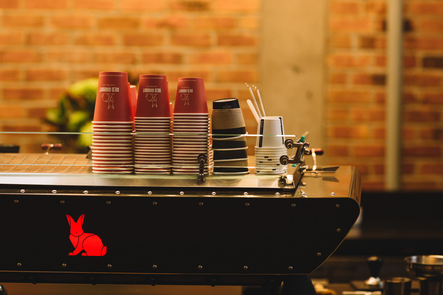 From Wellington to Auckland With Red Rabbit Coffee | Sprudge Coffee