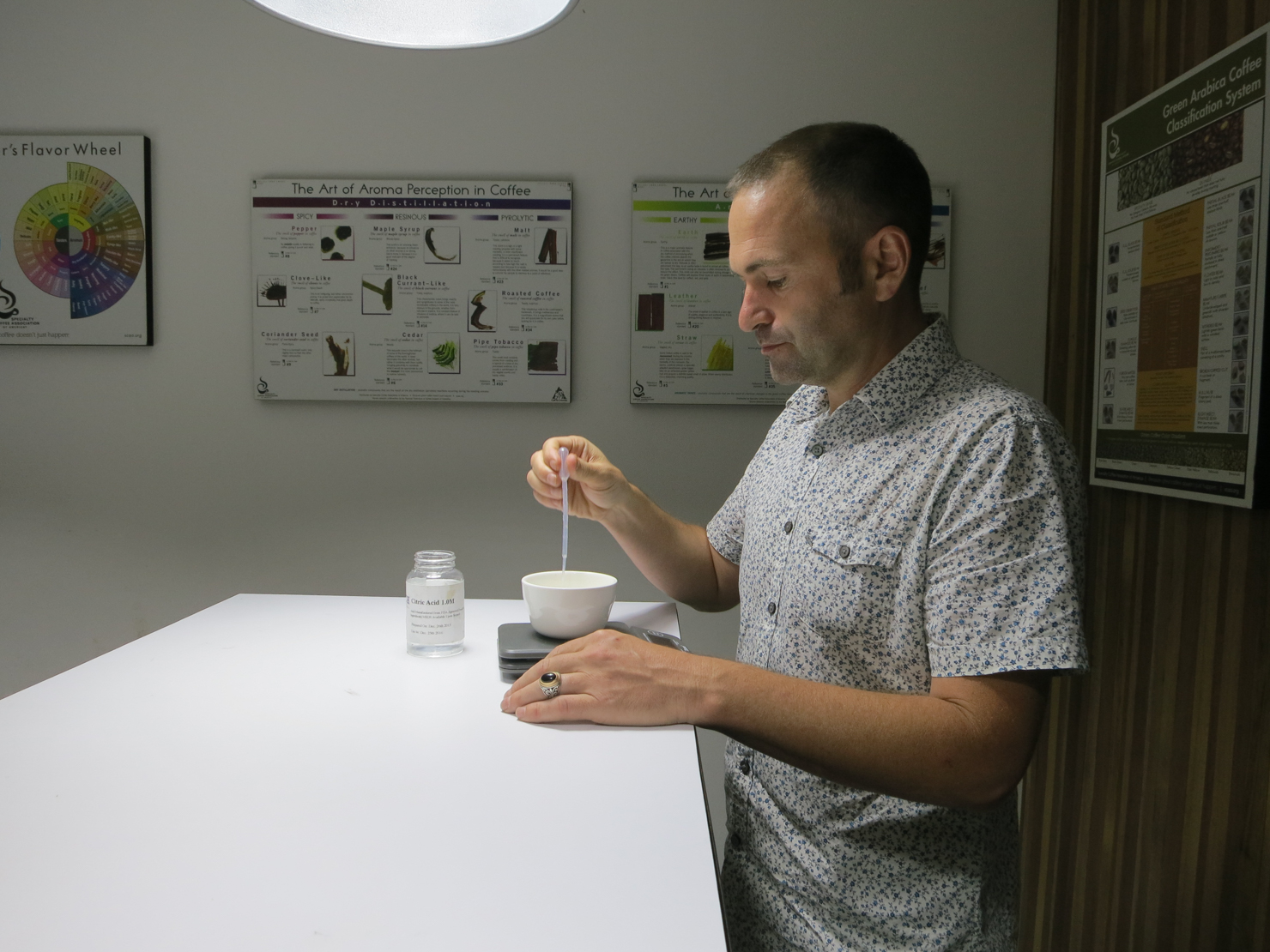 "Made in China" Might Soon Mean Exquisite Coffee | Sprudge Coffee