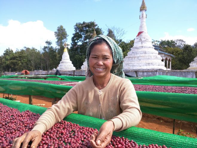Myanmar Coffee Is Having A Moment | Sprudge Coffee