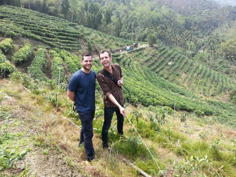 Spirit Tea: Camellia Sinensis Purists At The Coffee Bar | Sprudge Coffee