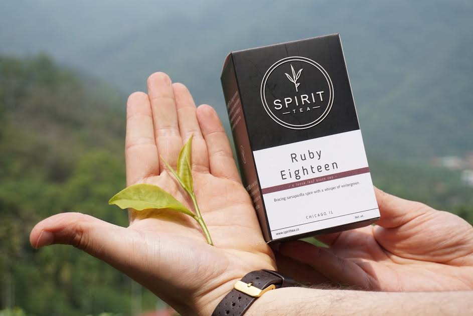 Spirit Tea: Camellia Sinensis Purists At The Coffee Bar | Sprudge Coffee