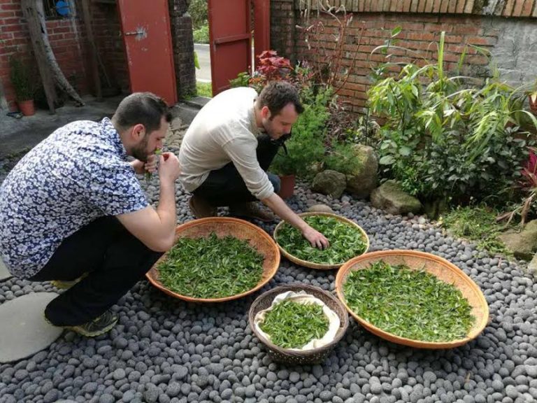 Spirit Tea: Camellia Sinensis Purists At The Coffee Bar | Sprudge Coffee