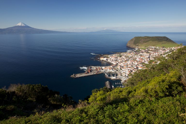 The Atlantic's Hidden Coffee Farm On The Azorean Island Of São Jorge ...