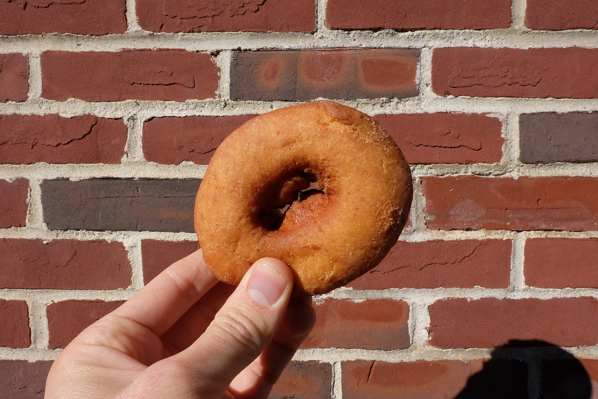 A Donut Guide To Providence, Rhode Island | Sprudge Coffee