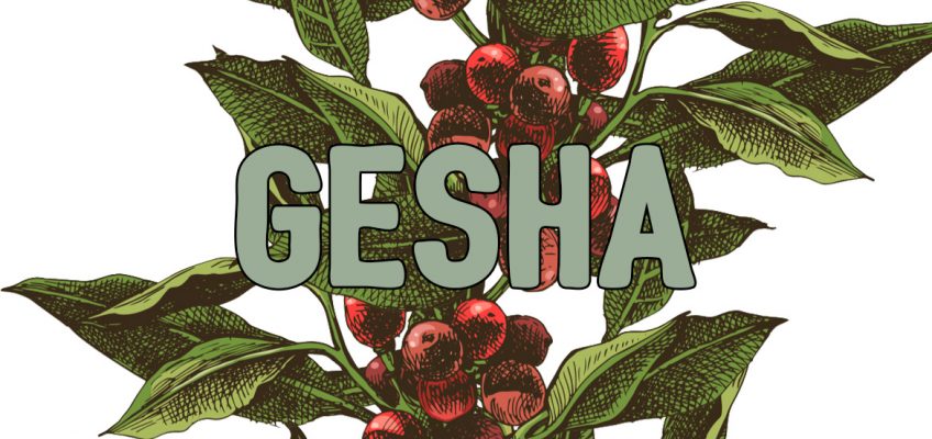 Stop Calling It “Geisha” Already