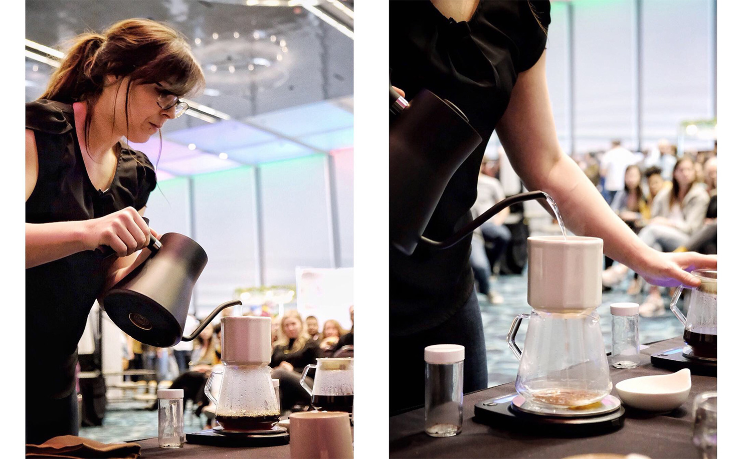 The Coffee Sprudgecast: US Brewers Cup Champs Kaley Gann and Rose ...