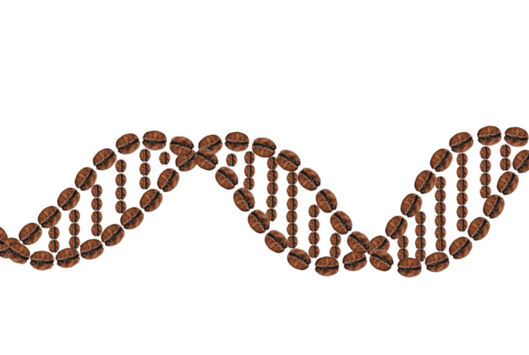 Coffee Design: Infinitely Recyclable Coffee Cans From West Berkshire ...