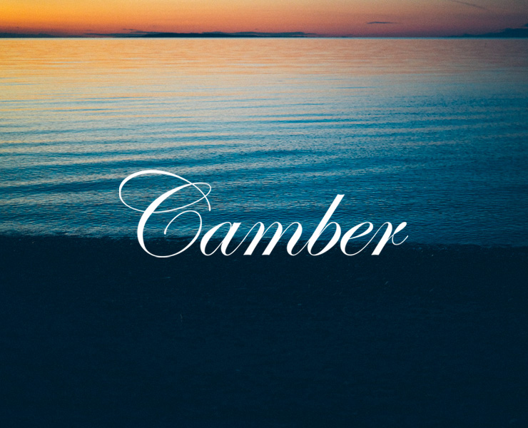 Haley Lytle: The Sprudge Twenty Interview