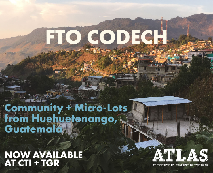 Haley Lytle: The Sprudge Twenty Interview