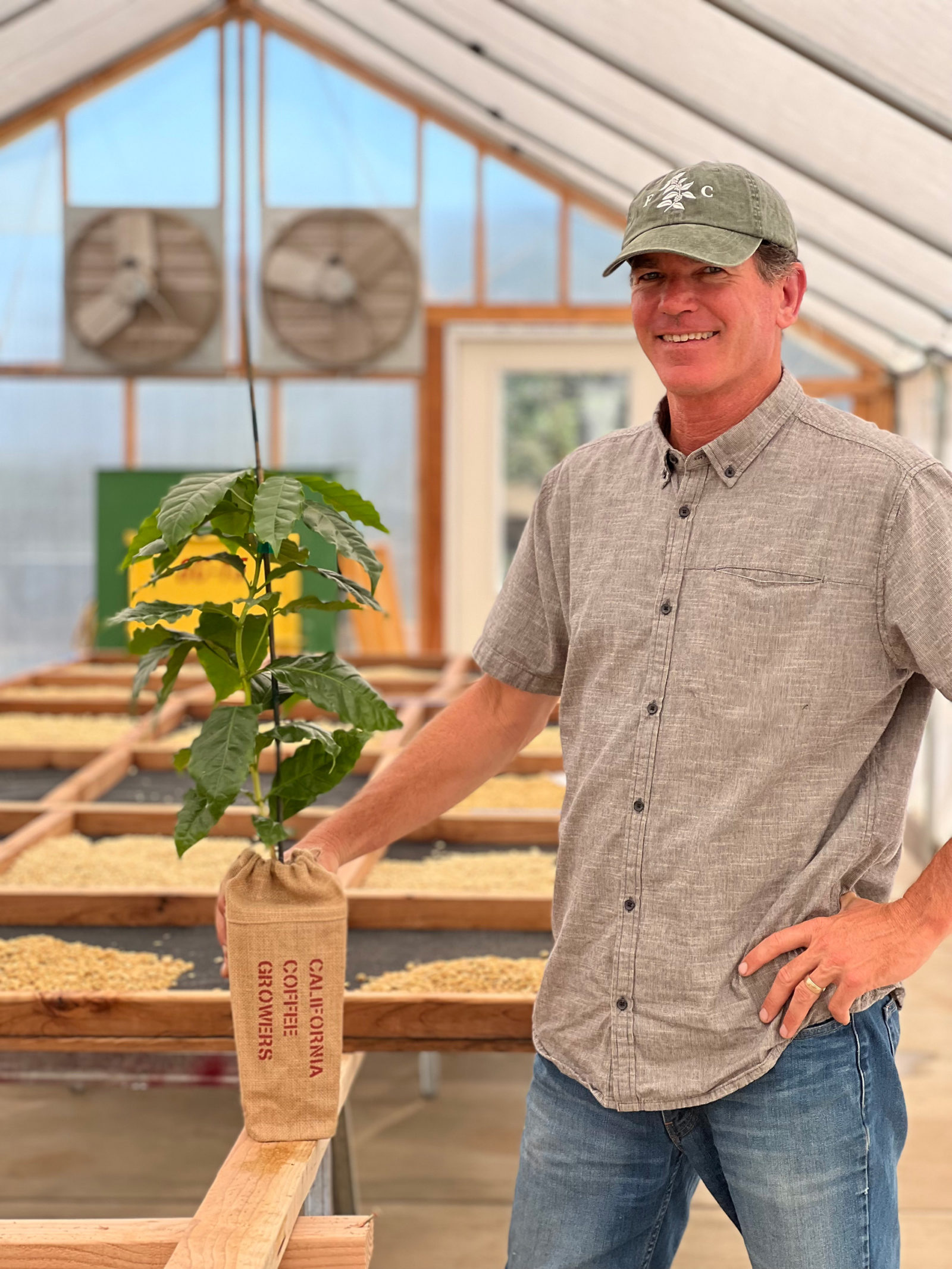 The Joy Of Growing Coffee As A Houseplant | Sprudge Coffee