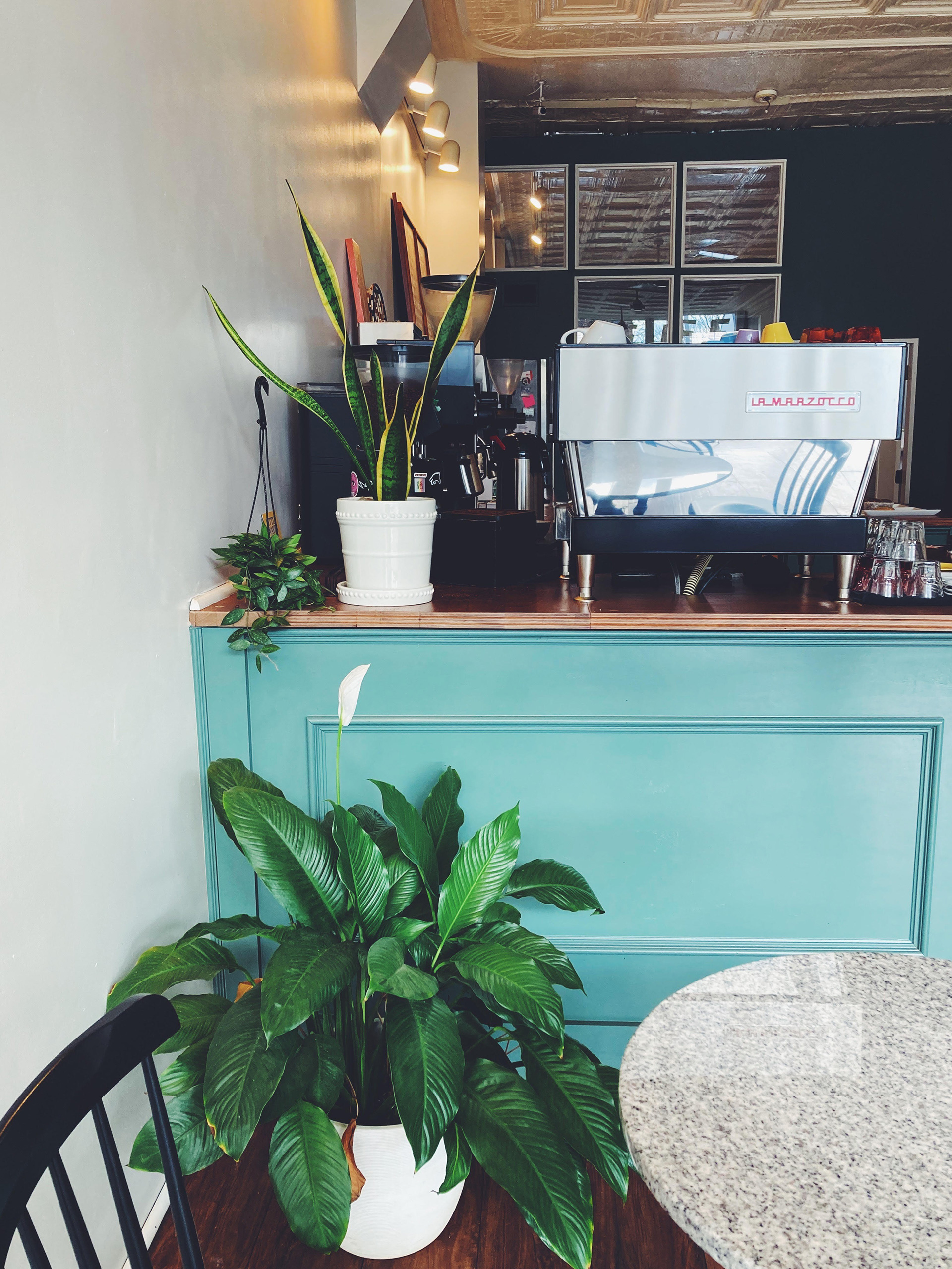 Constellation Coffee Shines Bright In Pittsburgh, PA | Sprudge Coffee