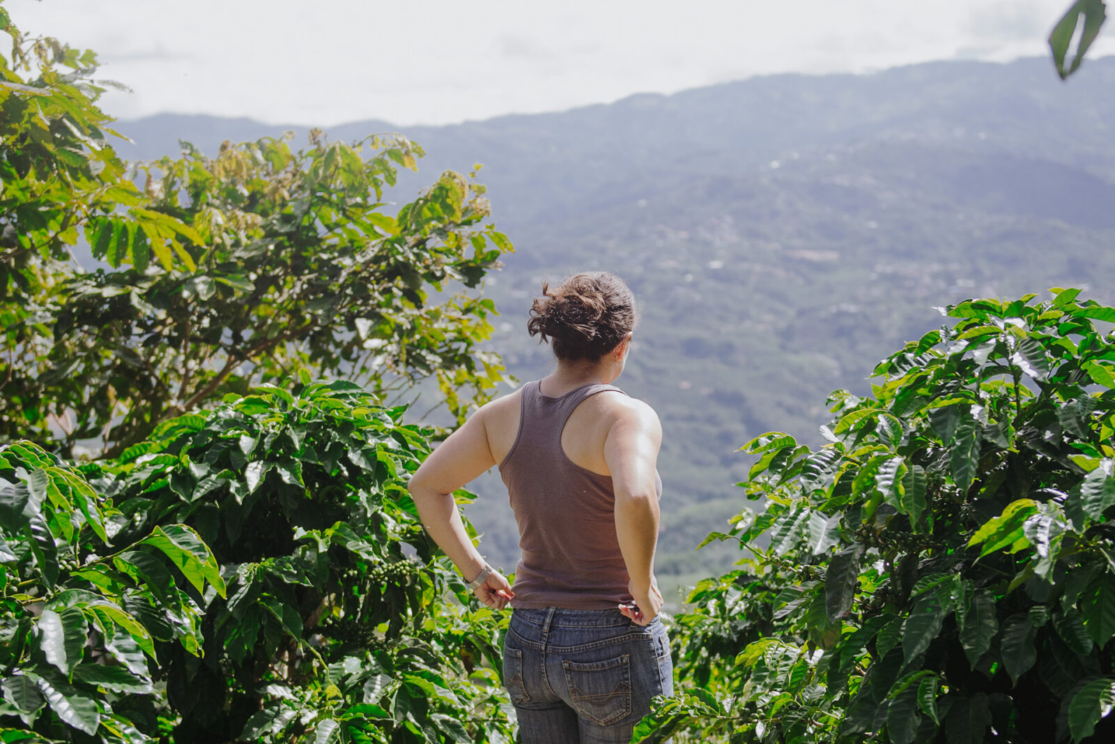 Abhinav Khanal And Sunghee Tark Of Bean Voyage: The Sprudge Interview ...