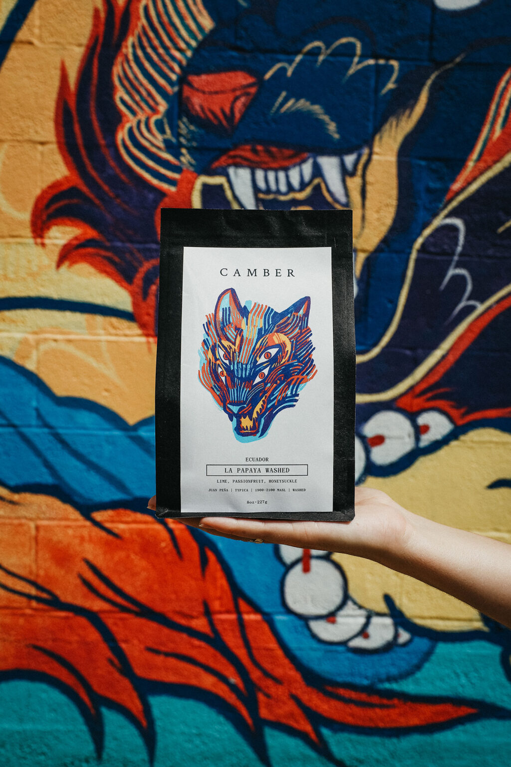 Coffee Design: Camber Coffee 2023 Artist Series With Paige Bowman ...