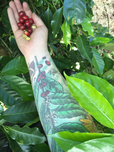 Bean Ink: Why Coffee And Tattoos Just Might Be The Perfect Pairing ...