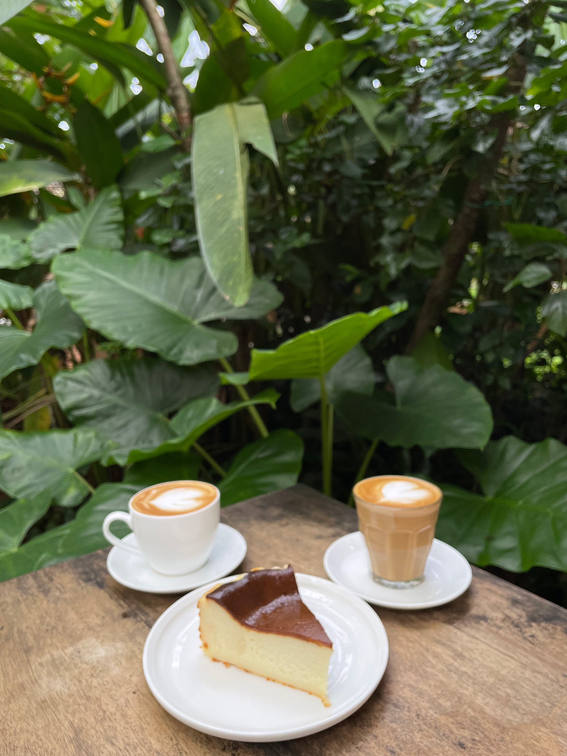 The Sprudge Guide To Coffee In Goa, India | Sprudge Coffee