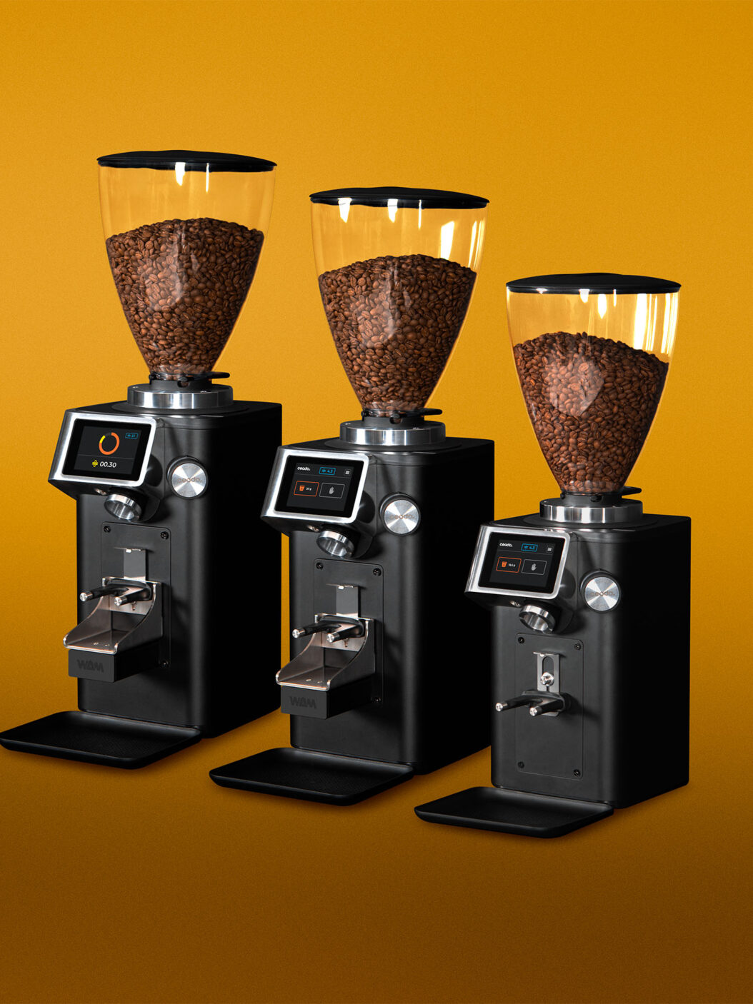 Olympia Coffee Announces New Cafe In Downtown Seattle | Sprudge Coffee