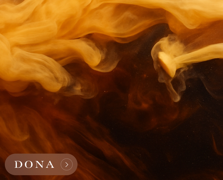 The Sprudge Guide To Coffee Shops In Bellingham, Washington | Sprudge ...